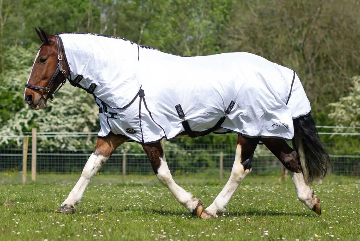Gallop Fly Rugs for Summer Horse Protection