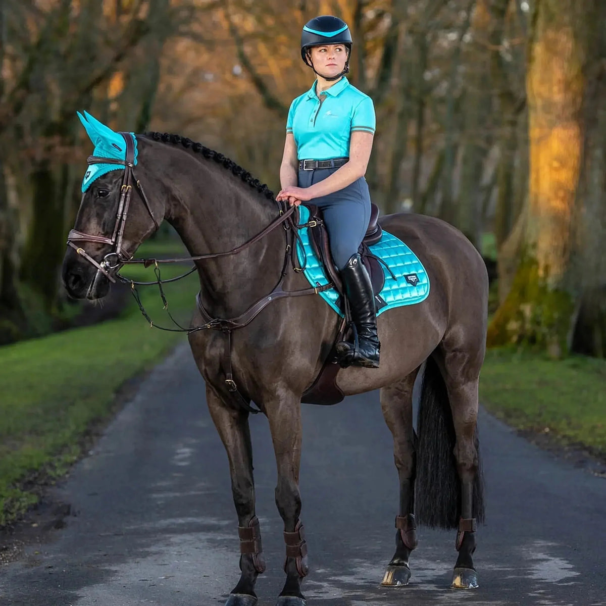 LeMieux Azure Colour Collection FREE DELIVERY OVER £50