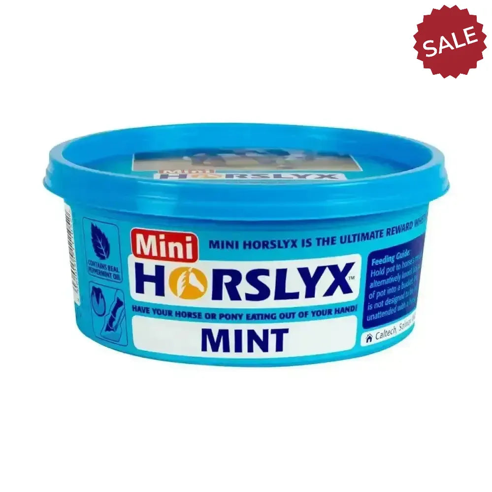 Horslyx Mint Balancer Horse Lick Horse Licks Horse Treats