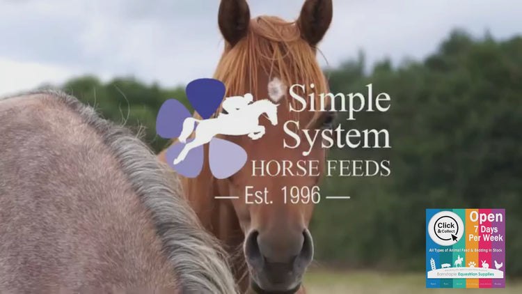 Simple System Horse Feeds For Horses And Equestrian